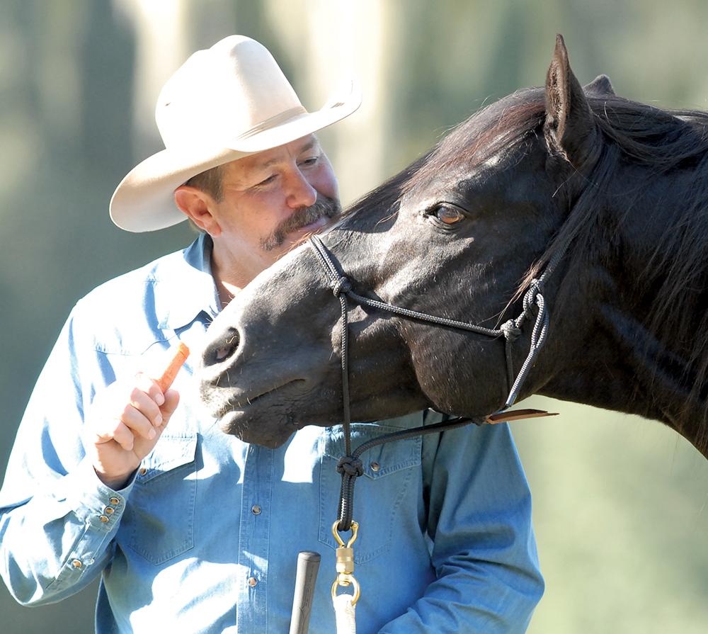 Parelli Horseman's Halter – www.parelliuk.com