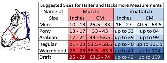 Halter Parelli Horsemans Halter – www.parelliuk.com